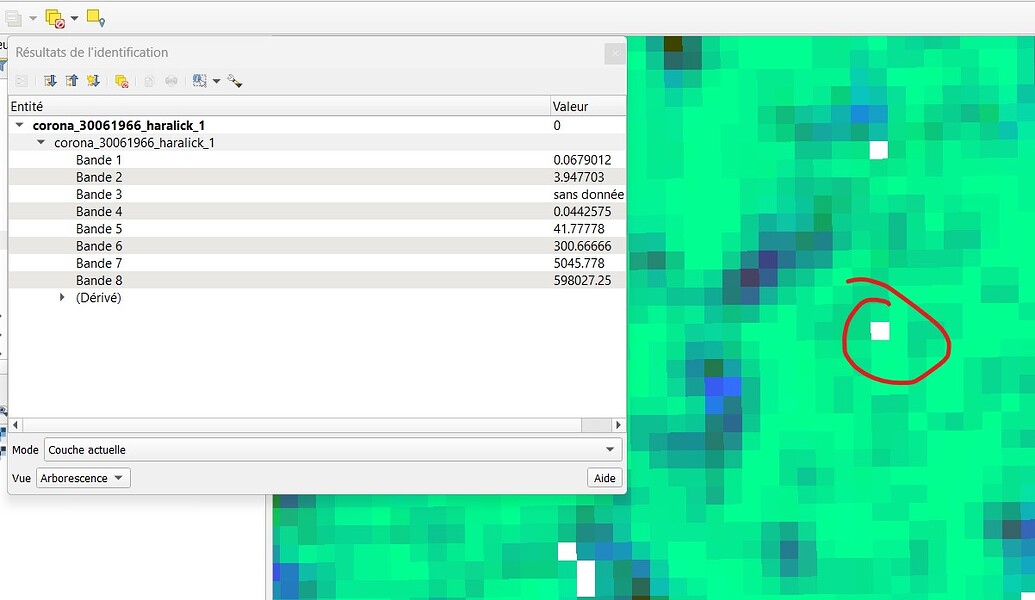 Haralick texture extraction odd result - OTB Usage - Orfeo Toolbox forum